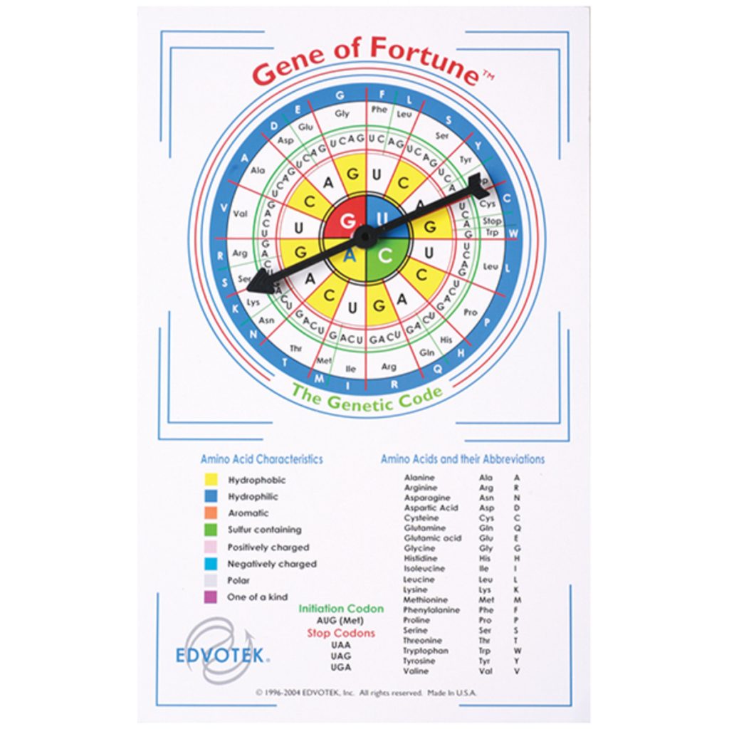 Classroom Kit - DNA Models - ADIA Inc.