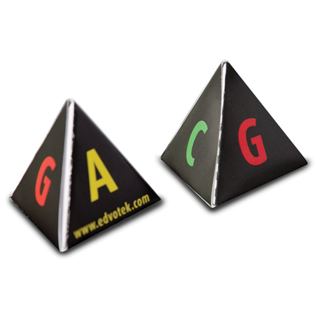 Classroom Kit - Classroom Molecular Biology Toys & Games - Gene of ...